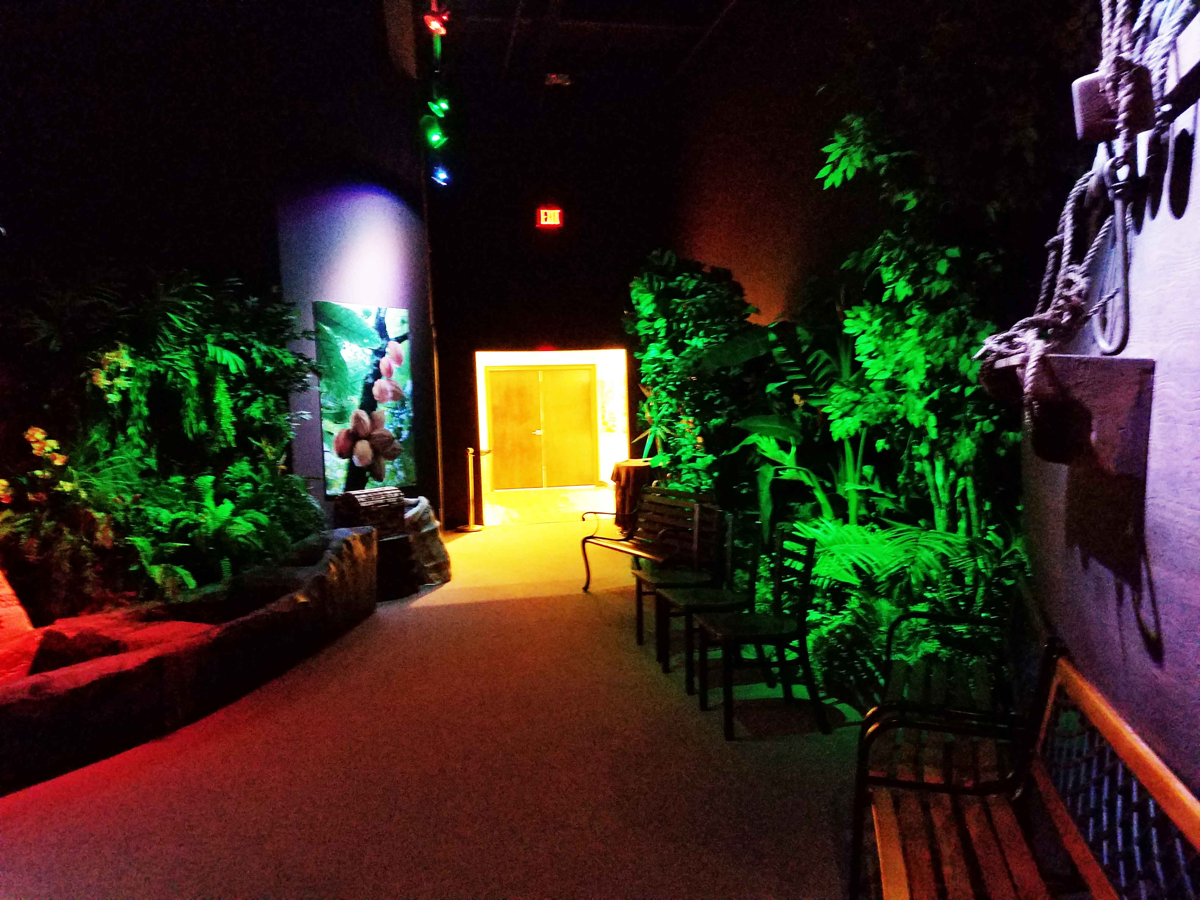 Chocolate Museum & Cafe, Orlando | World Of Chocolates
